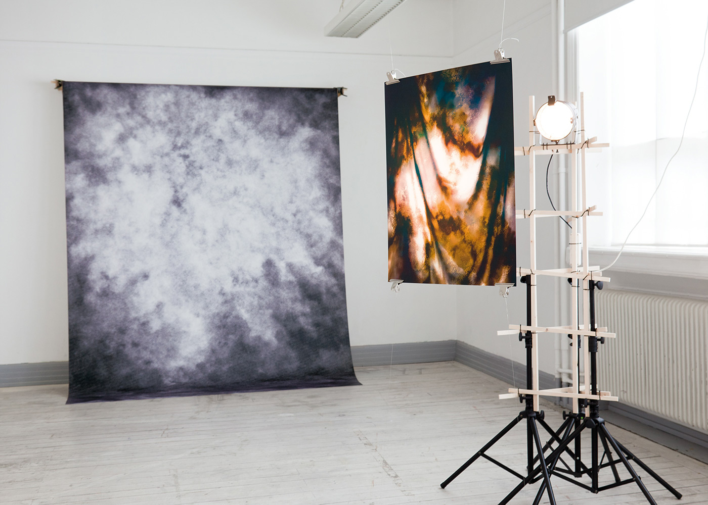 Anika Schwarzlose — Backdrop