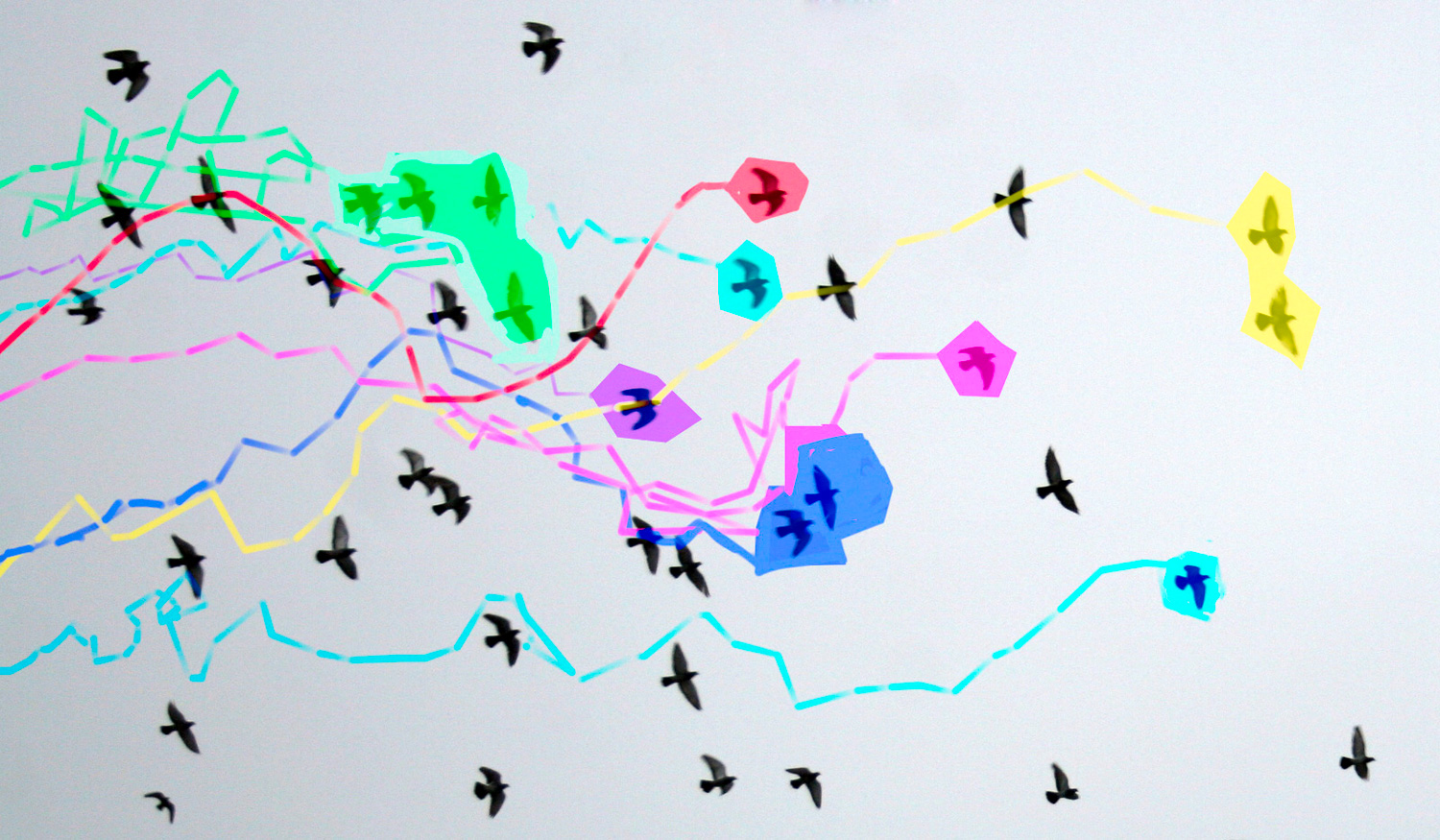 Anika Schwarzlose — Tracking Formations