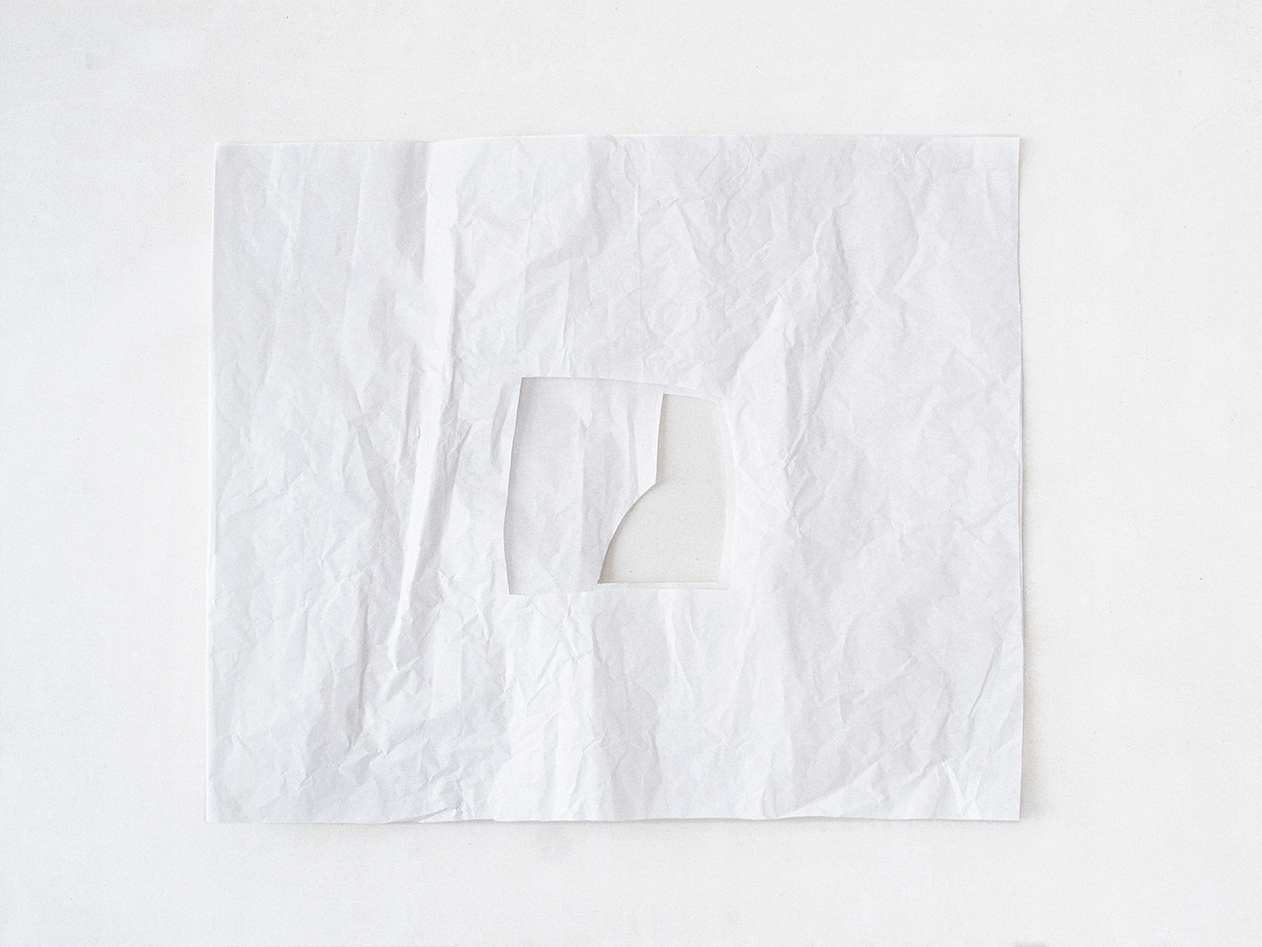 Anika Schwarzlose — Framed Gaze